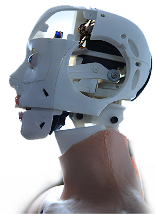 AI Security, Robotics & IoT Solutions Singapore